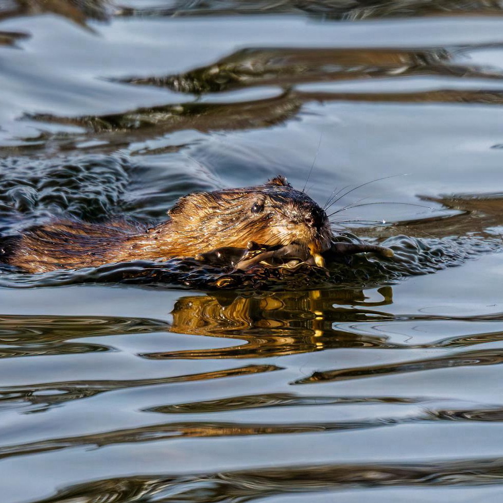 Teamwork makes a difference – Writing for you.